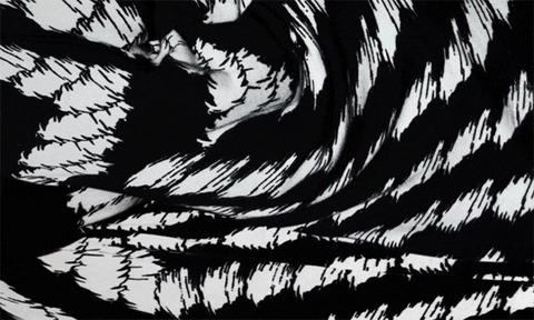 Animation Art GIF by Not So Fast Media - Find & Share on GIPHY