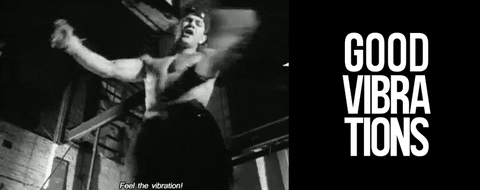 Good Vibrations GIF - Find & Share on GIPHY