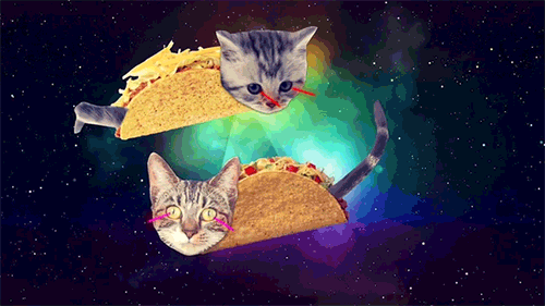 Taco GIFs - Find & Share on GIPHY
