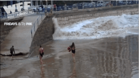 World'S Funniest Fails GIF by Fox TV - Find & Share on GIPHY