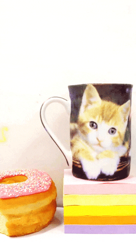 Stop Motion Cat GIF by Tara - Find & Share on GIPHY