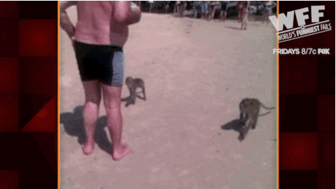 World'S Fails GIF by World’s Funniest - Find & Share on GIPHY