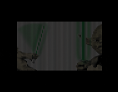 Scanimation GIFs - Get the best GIF on GIPHY