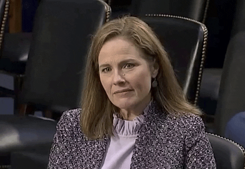 Senate Judiciary Committee Lol GIF by GIPHY News - Find & Share on GIPHY