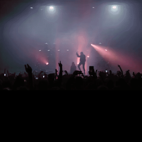 GIF by cashmerecat - Find & Share on GIPHY