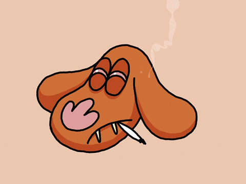 Dog Smoking GIF by Andrew Bell - Find & Share on GIPHY