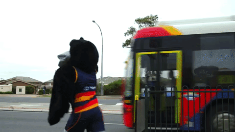 Claude GIF by Adelaide Crows - Find & Share on GIPHY