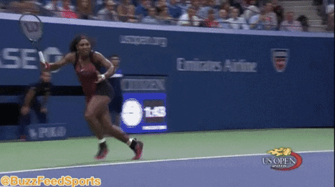 Serena Williams GIF - Find & Share on GIPHY