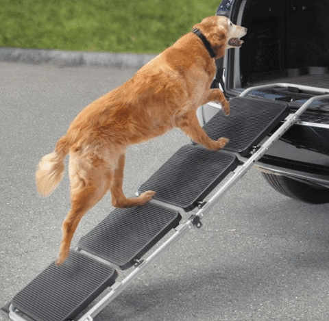 Ramp GIF - Find & Share on GIPHY