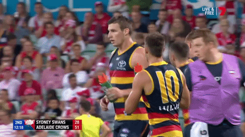 Afl Celebrate GIF by Adelaide Crows - Find & Share on GIPHY