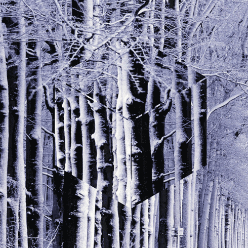 Animation Tree GIF by weinventyou - Find & Share on GIPHY