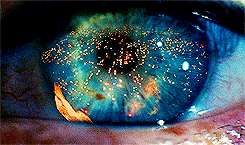 Blade Runner GIF - Find & Share on GIPHY