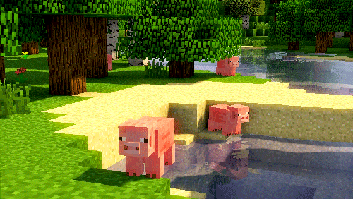 Forest Pig GIF - Find & Share on GIPHY