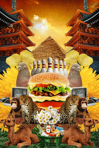 Collage Art GIF by haydiroket (Mert Keskin) - Find & Share on GIPHY