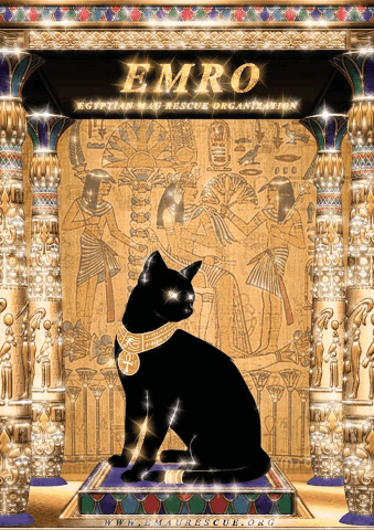 Egyptian GIFs - Find & Share on GIPHY