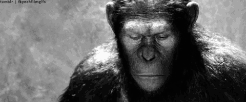 Humanity GIF - Find & Share on GIPHY