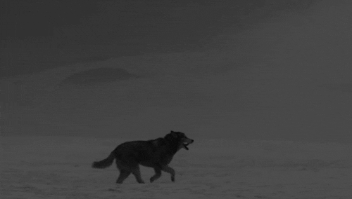 Run GIF - Find & Share on GIPHY