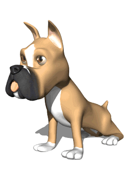 Boxer GIF - Find & Share on GIPHY