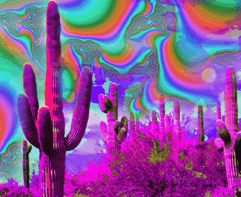 Stoned Weed GIF - Find & Share on GIPHY