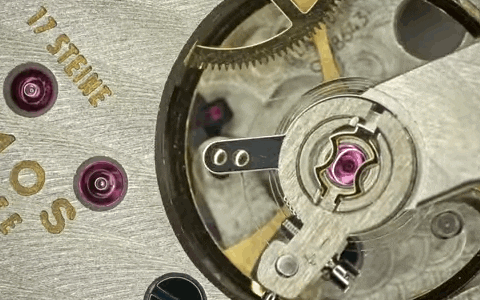 Watch GIF - Find & Share on GIPHY