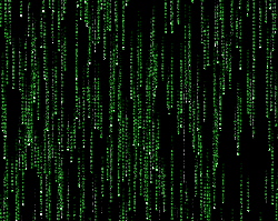 The Matrix GIF - Find & Share on GIPHY
