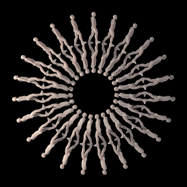 Circles GIF - Find & Share on GIPHY