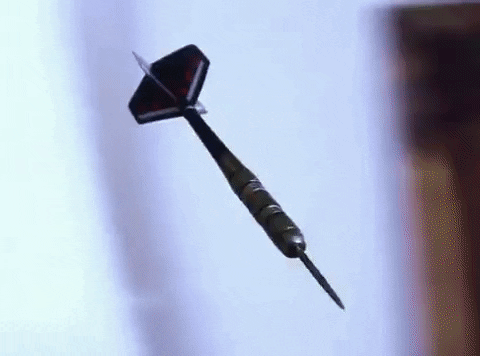 Real Life GIF by Claire Rosinkranz - Find & Share on GIPHY