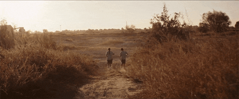 Drought GIF - Find & Share on GIPHY