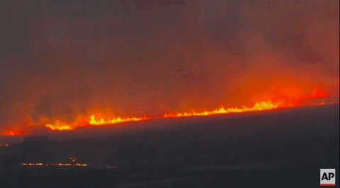 Wildfire GIF - Find & Share on GIPHY