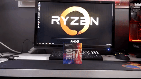 AMD Master Race