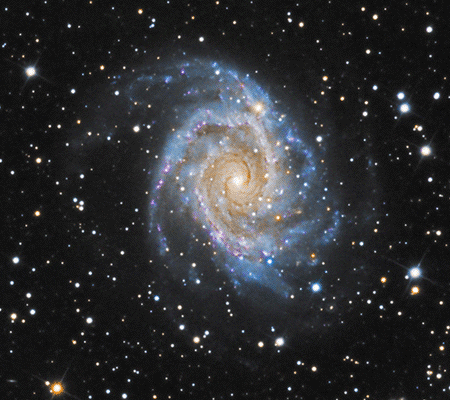 Animated GIF - Find & Share on GIPHY