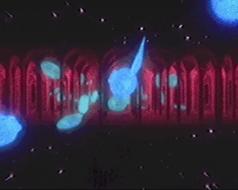 Loop Glitch GIF by lazy at churches - Find & Share on GIPHY