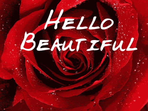 Hello GIF - Find & Share on GIPHY