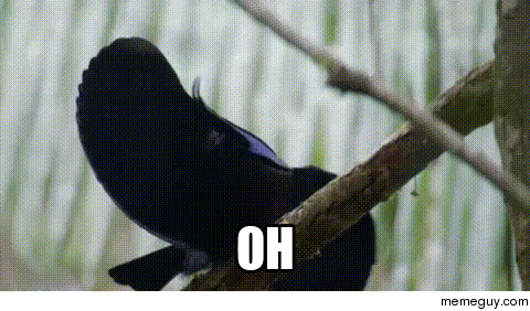 Ouch GIF - Find & Share on GIPHY