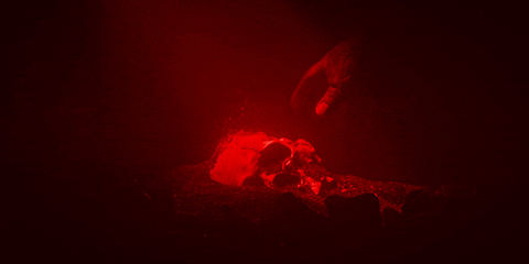 Skull GIF by A24 - Find & Share on GIPHY