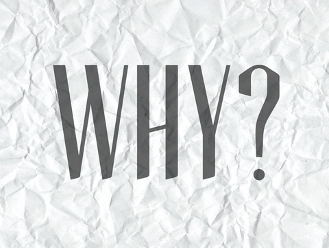 Why GIFs - Find & Share on GIPHY