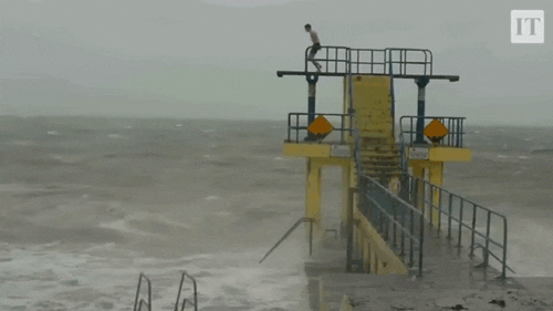 Storm Desmond Swimming GIF by NowThis - Find & Share on GIPHY