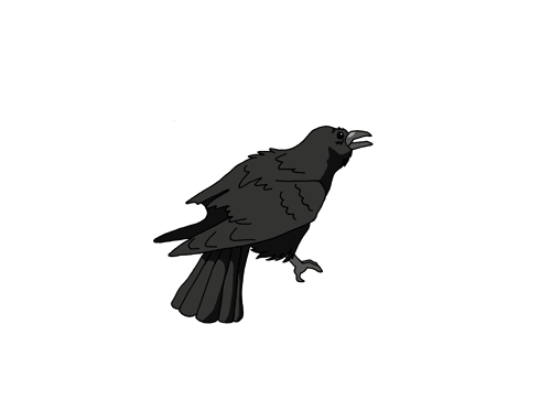 Crow GIFs - Find & Share on GIPHY