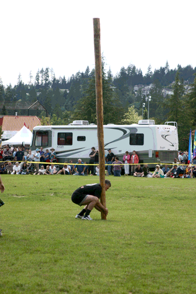 Toss GIF - Find & Share on GIPHY