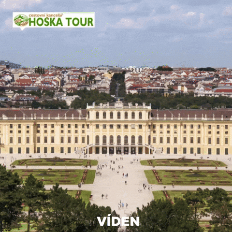 Vienna Mesto GIF by CK HOŠKA TOUR - Find & Share on GIPHY