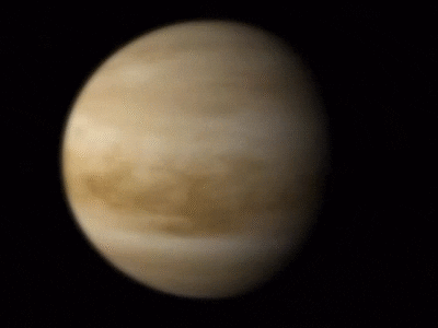 Venus GIF - Find & Share on GIPHY