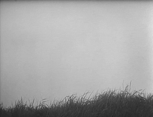 Grass Field GIFs - Find & Share on GIPHY