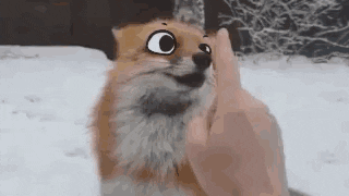 Happy Fox GIF by TikiIndia - Find & Share on GIPHY